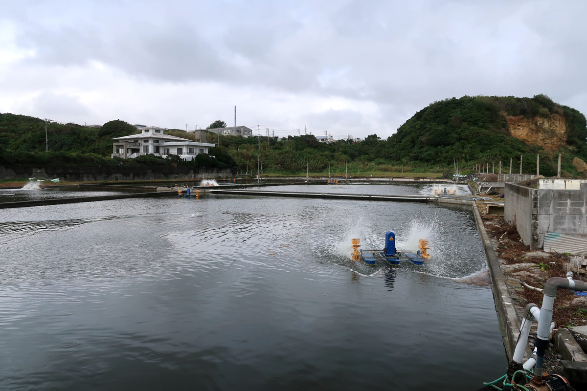 うるま市「創作和食 真」丁寧な和御膳ランチがおいしい！地元民に人気の理由がよくわかるお店。 - 毎日ビール.jp